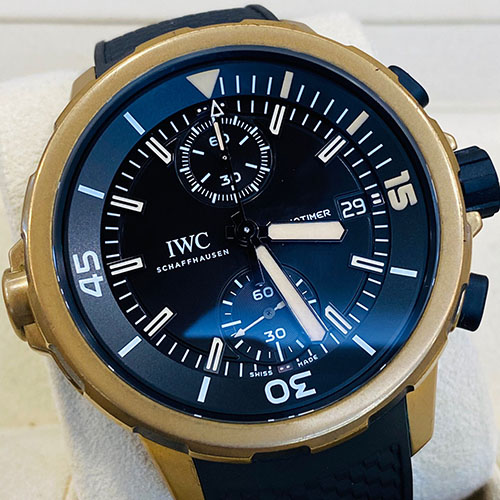 达尔文探险之旅万国海洋时计IW379503青铜手表